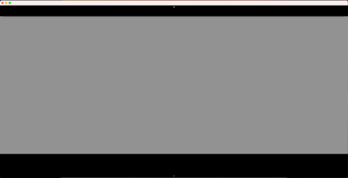 Grey screen starting Lightroom problem | Alexander Jäger